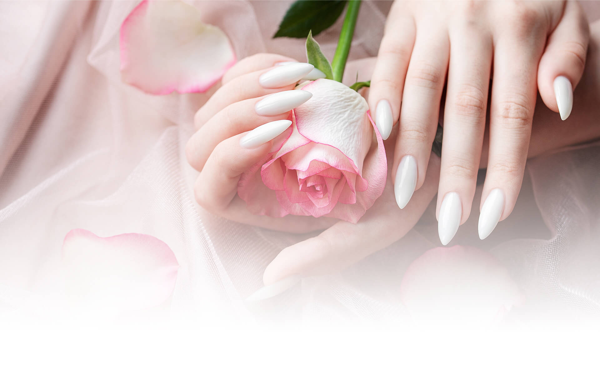 Nail Salon in Lockport, NY | Bliss Beauty Bar